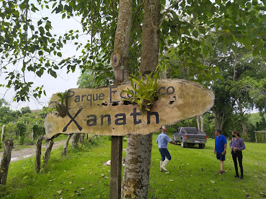 Parque Ecológico Xanath - Orquideofilos